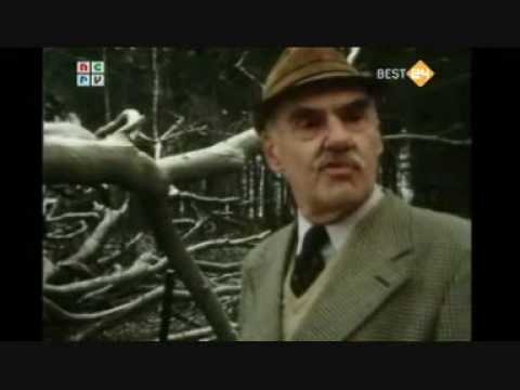 Daan Modderman - Showroom - YouTube