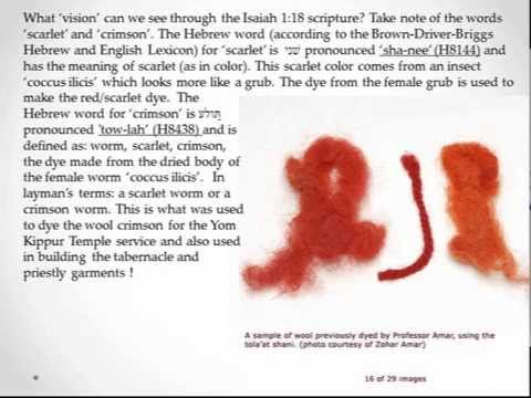Devarim ANE Crimson Worm - YouTube