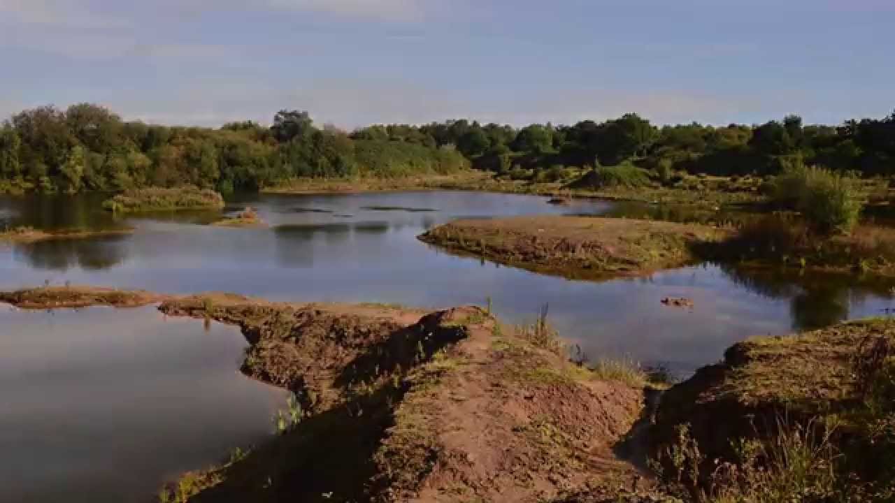 Rixton Claypits Local Nature Reserve - WBC - YouTube