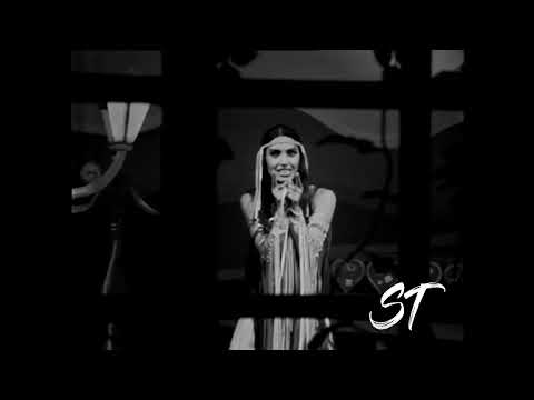 Seyyal Taner & 25.Saat - Lieben und frei sein