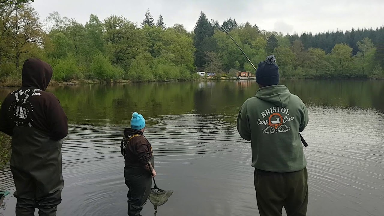 Forest View mid 30 being caught by Ian from Bristol Carp Crew. - YouTube