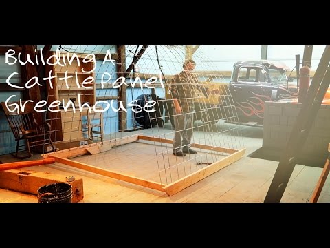 Building A Cattle Panel Green House Part 1 - YouTube