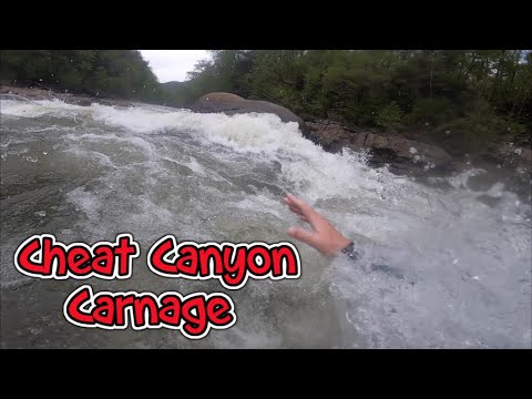 Cheat Canyon Swimming Lower Coliseum and Pete Morgan - YouTube