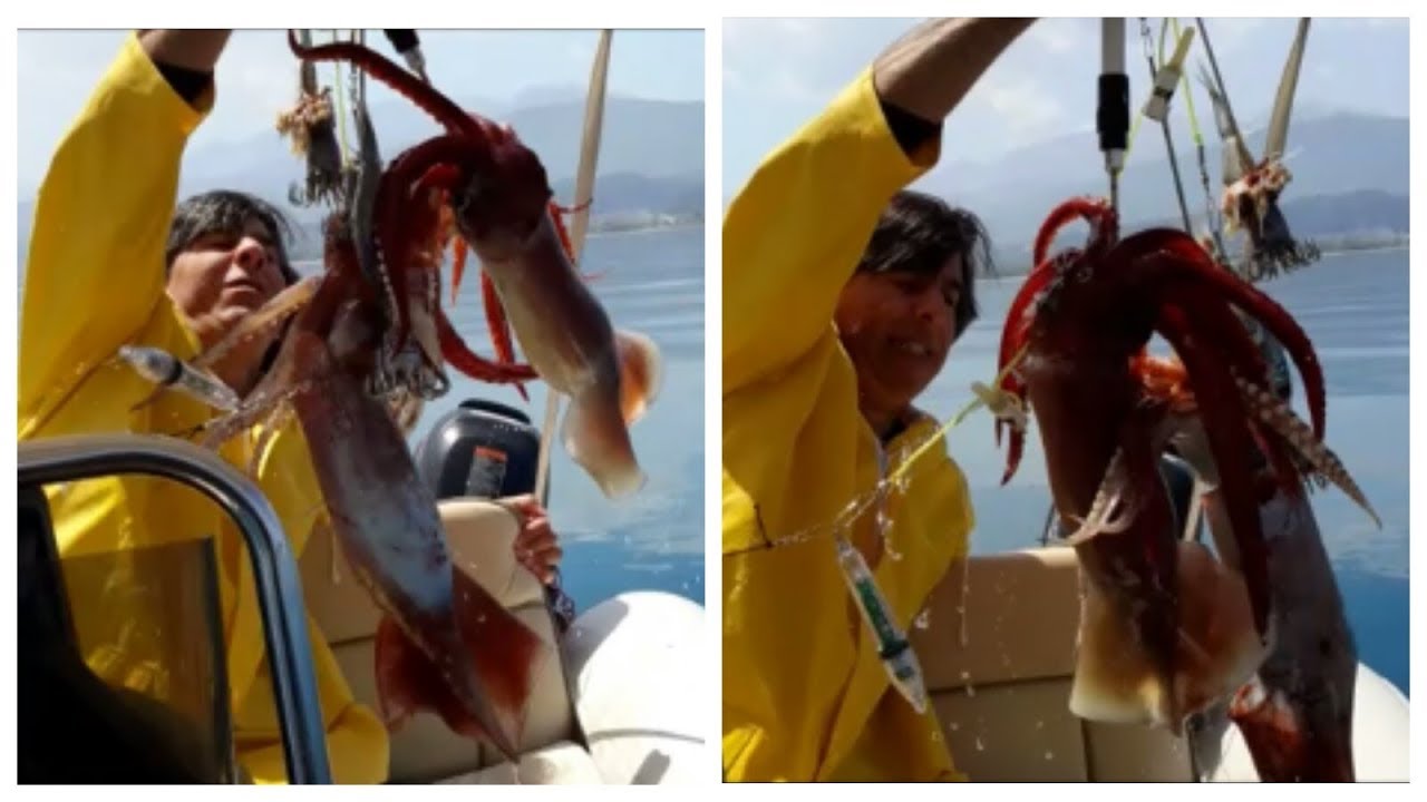 FISHING🇬🇷 SQUID!! ΣΕΙΣΜΟΣ ΣΤΟΝ ΚΟΡΙΝΘΙΑΚΟ!!! ΨΑΡΕΜΑ ΘΡΑΨΑΛΑ ΤΕΡΑΤΑ ...