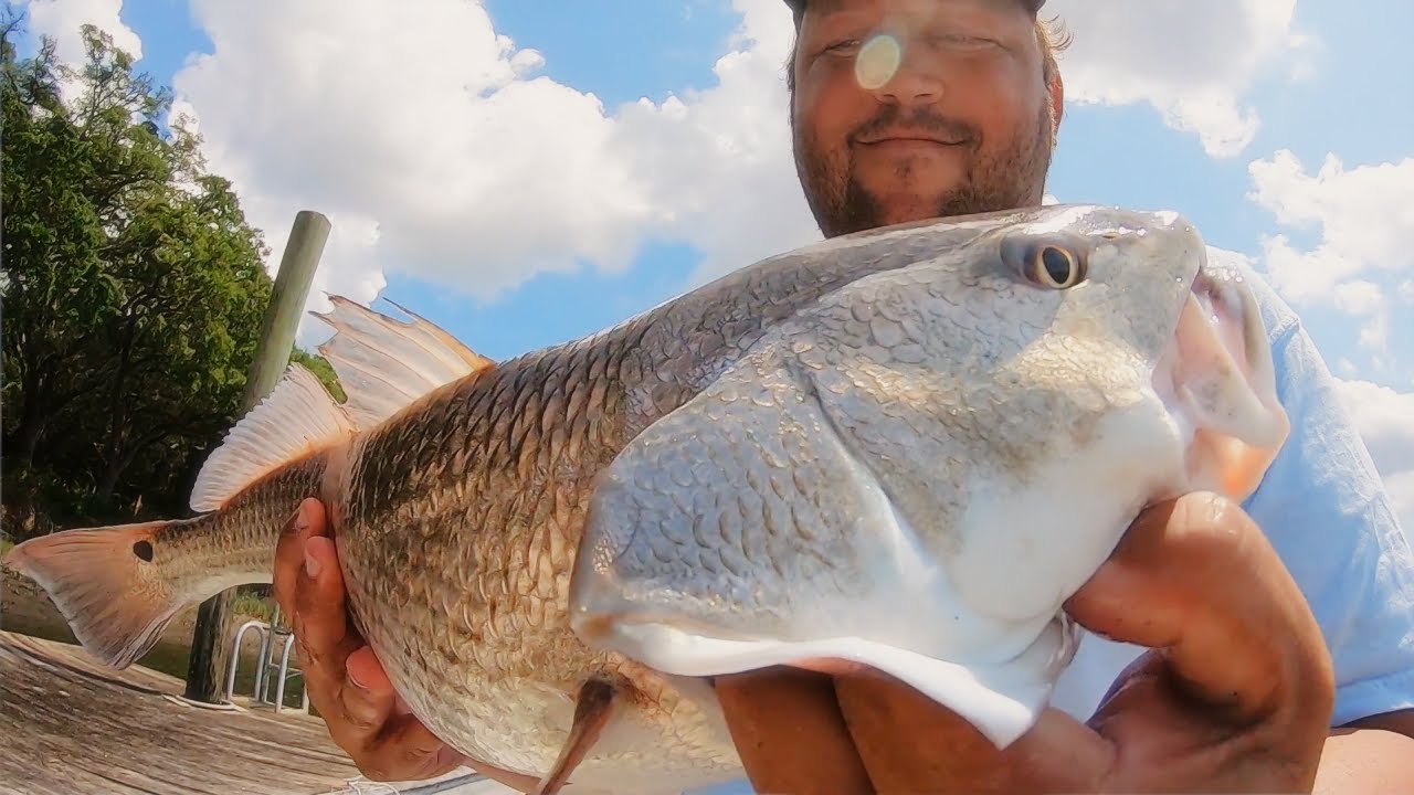 INSHORE SALTWATER FISHING in Beaufort SC... Trout, Reds, Black Drum ...