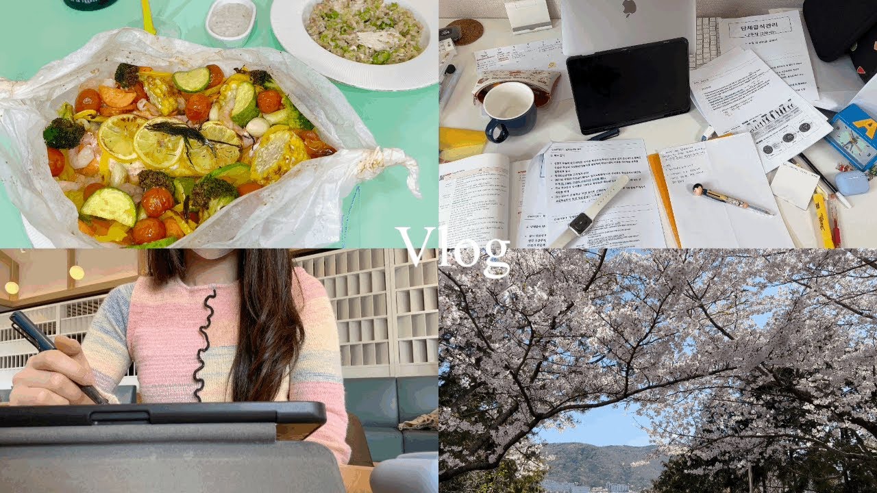 Vlog 대학생 일상 공부하고 요리하고 먹다가 끝나는 일상 연어파피요트 브로콜리 크림리조또 알리오올리오파스타 벚꽃