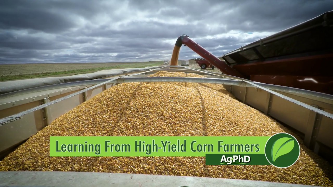 Learning From High-Yield Corn Farmers #981 (Air Date 1-22-17) - YouTube