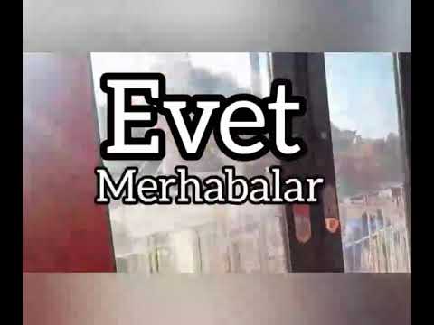 Gemlik Ziyareti (Haftalar Önce)