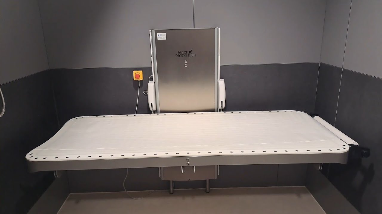 Adult changing table in HOU Hobby airport in Houston, great bathroom ...