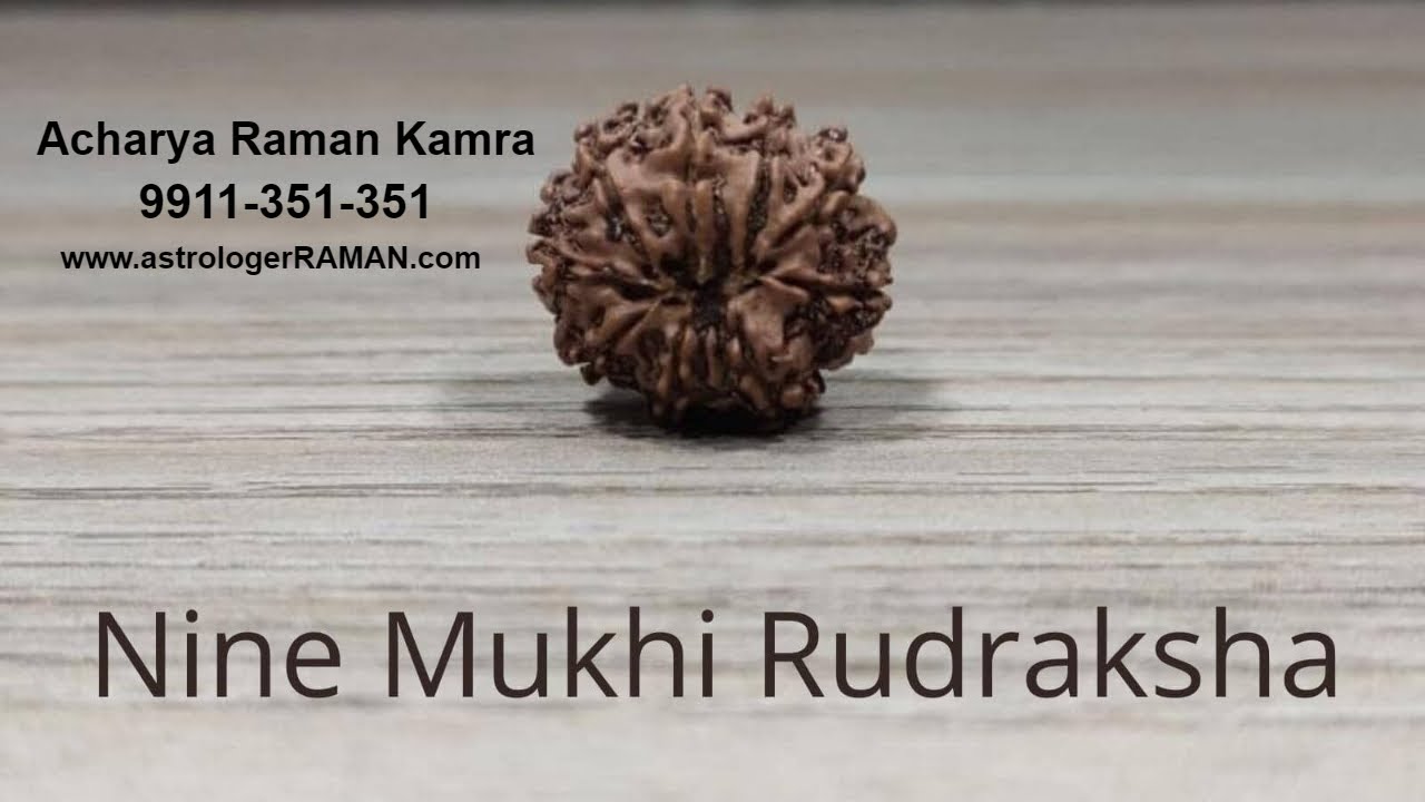 9 face rudraksha l Famous Astrologers in Delhi NCR, India l Nine Face ...