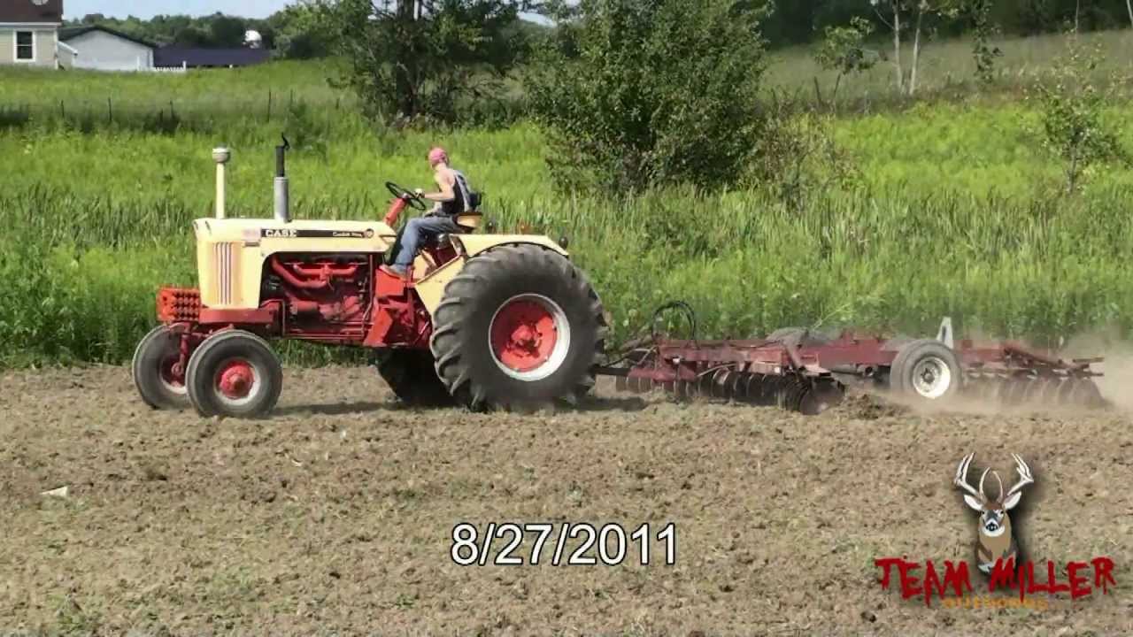 White Tail Food Plot -Brassica and Winter Rye: Shot Plot and Biologic ...