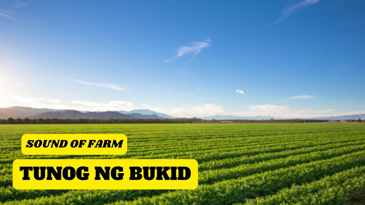 Tunog ng BUKID | Sound of FARM - YouTube