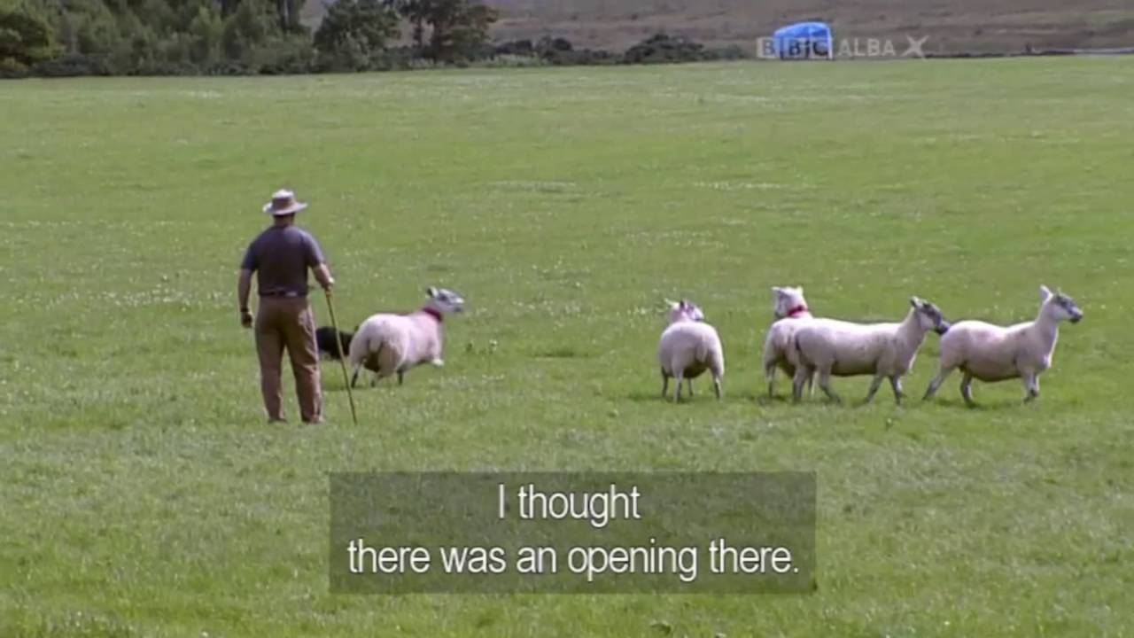 Ian Brownlie & Mo - Scottish National 2011 - YouTube