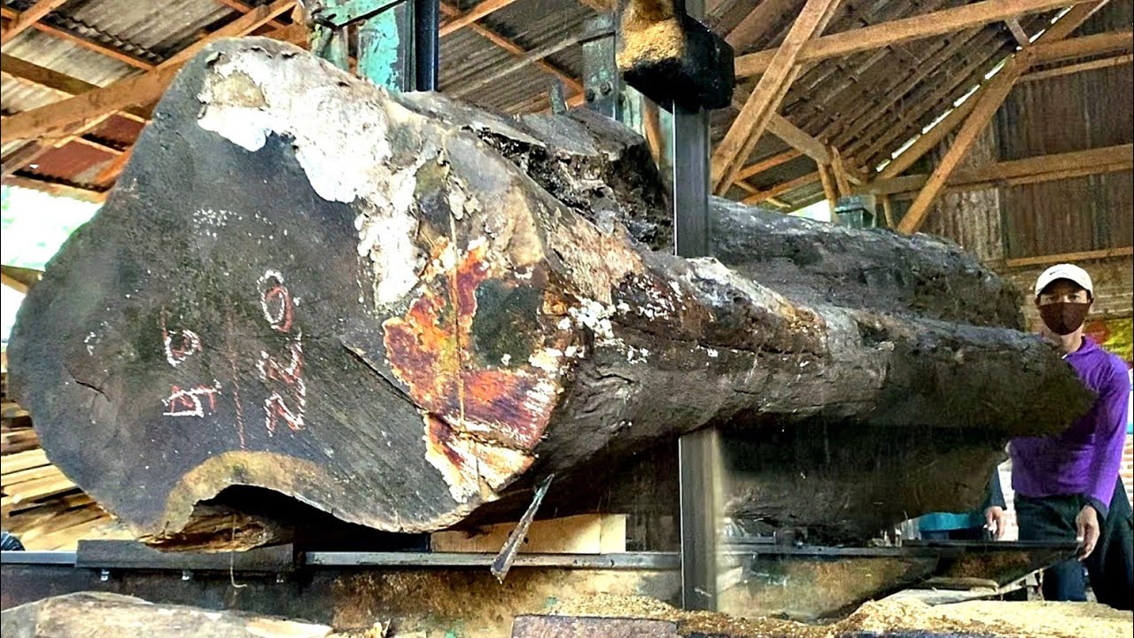 Amazing Biggest Wood Sawmill Machine Working - Sawmill Factory With Big ...