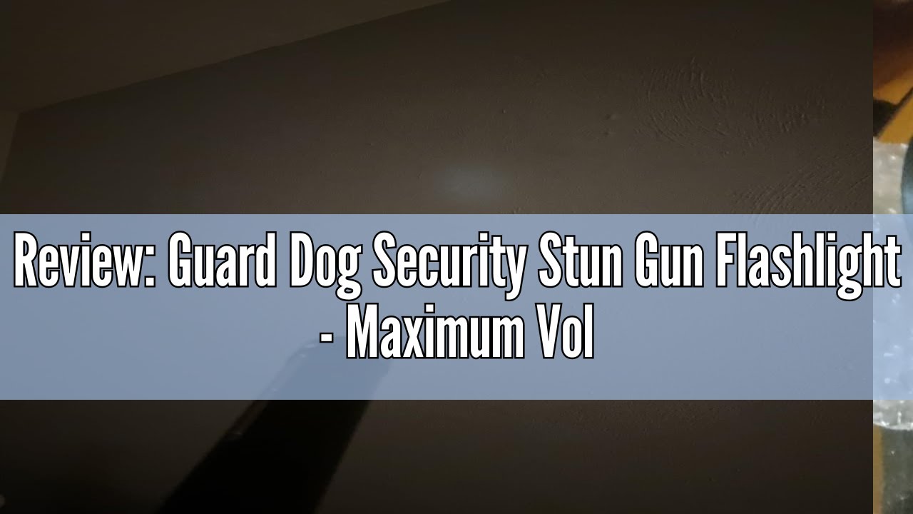 Review: Guard Dog Security Stun Gun Flashlight - Maximum Voltage - 280 ...