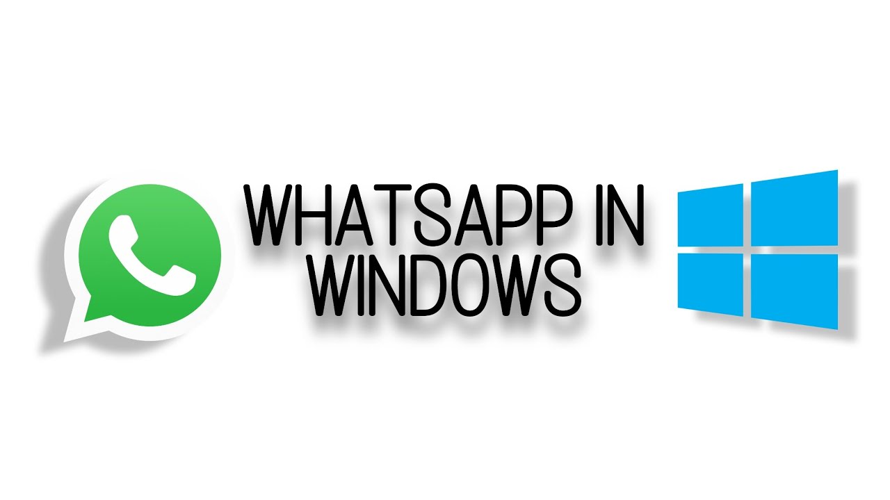 🔥WHATSAPP ON WINDOWS🔥EASY AND USEFUL.!! MUST KNOW FEATURE - YouTube