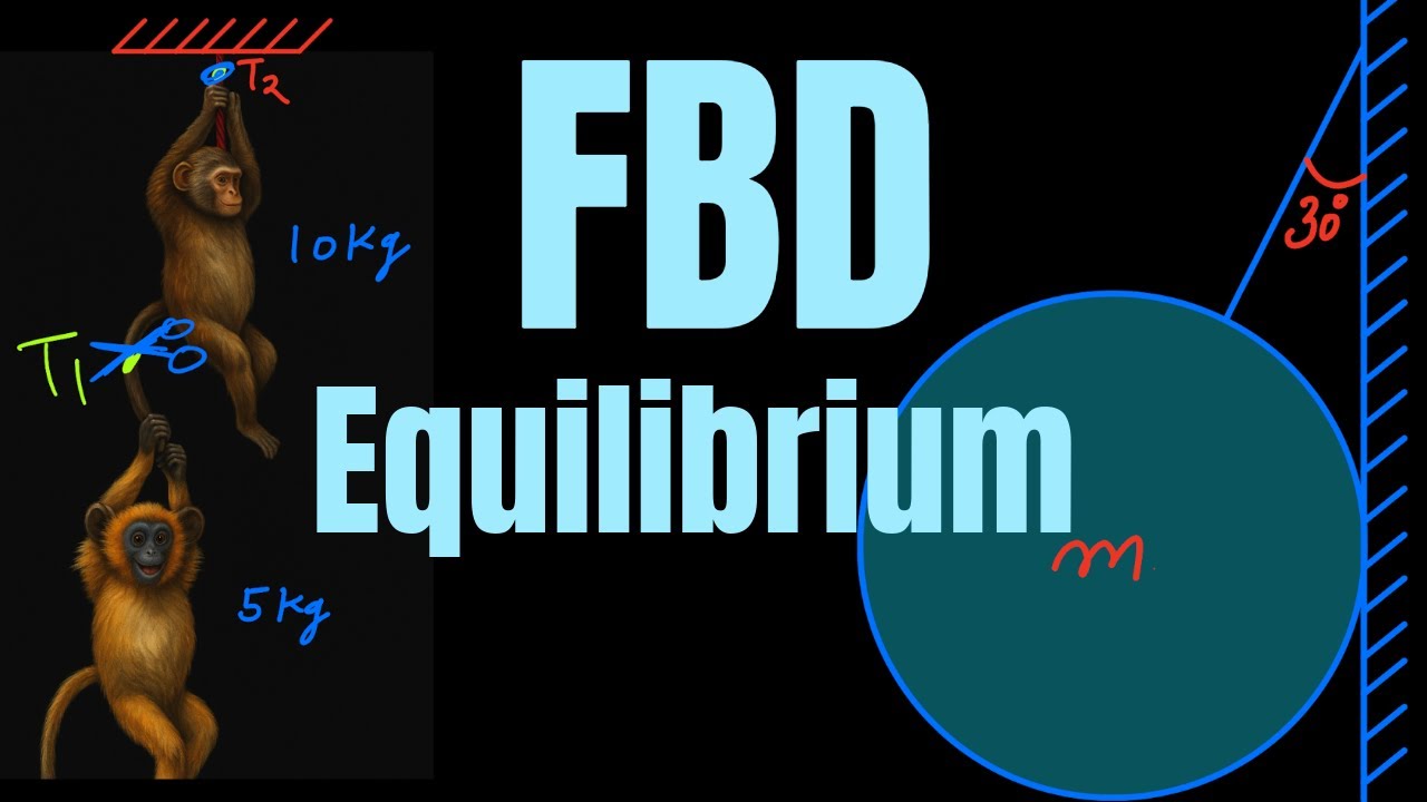 Newton's laws of motion 2, FBD & Equilibrium, JEE Mains/NEET Physics ...