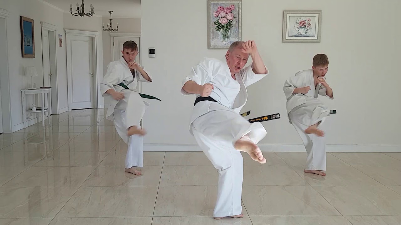 Shidokan Karate Home Training | Part 4 | Basic Combinations - YouTube