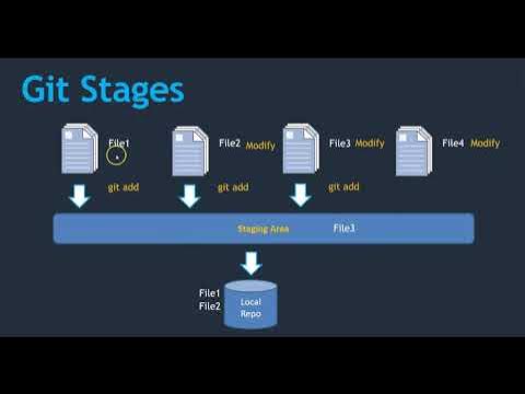 9. Working with git stages - YouTube