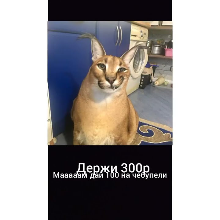 чебупели - YouTube