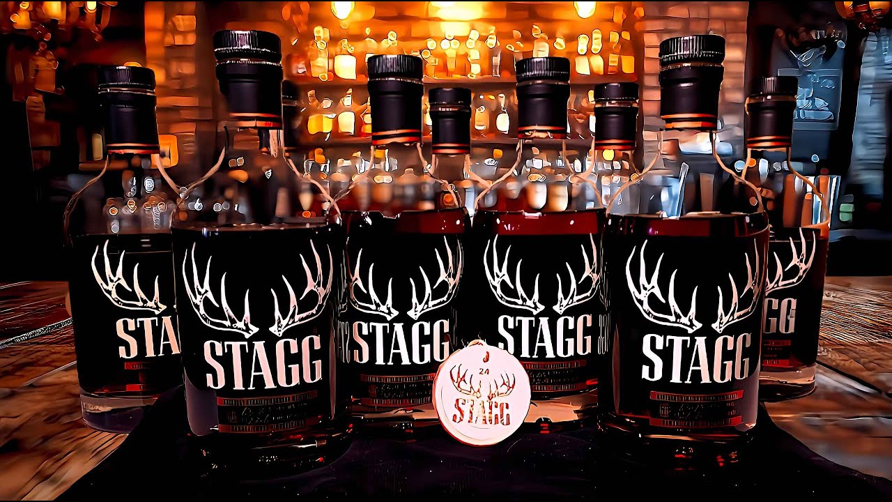 Stagg Battle! 24A vs 24B vs 24C vs 24D - Which Batch is the Best of ...