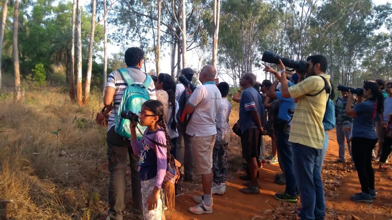 Turahalli forest trail || March 2019 Bengaluru - YouTube
