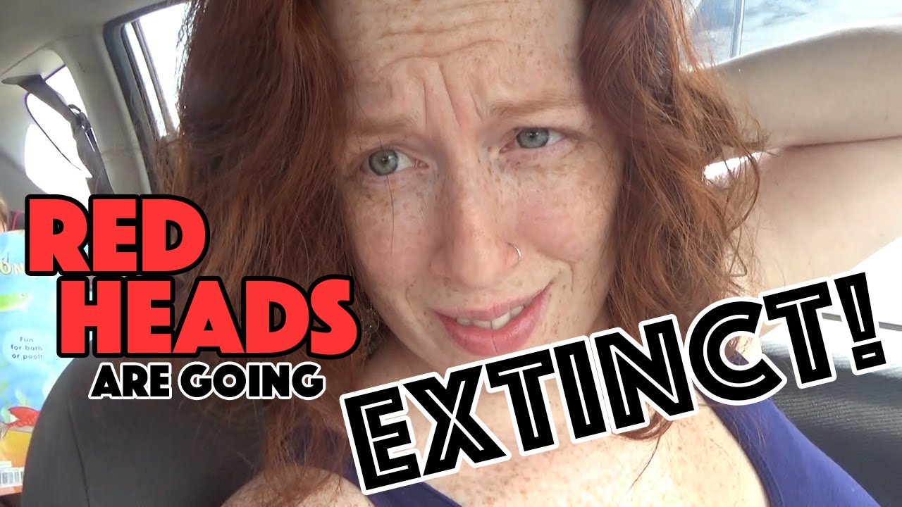 RED HEADS ARE GOING EXTINCT | VLOG #54 | May 12 | 2016 - YouTube