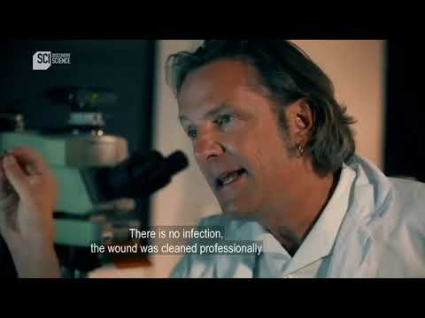 Tarihe Yakından Bakış  Kolezyum