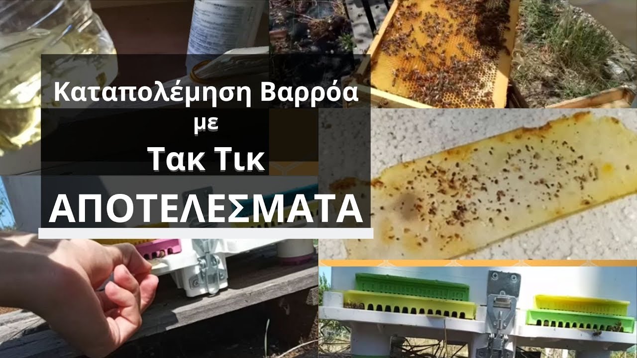 Τακ Τικ και βαρροα τα αποτελέσματα - YouTube