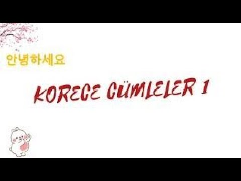 Korece Cümleler/ Part 1