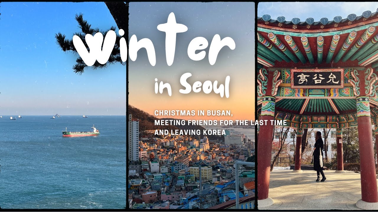 winter in Korea | christmas in Busan, New Year's Eve and leaving Seoul ...