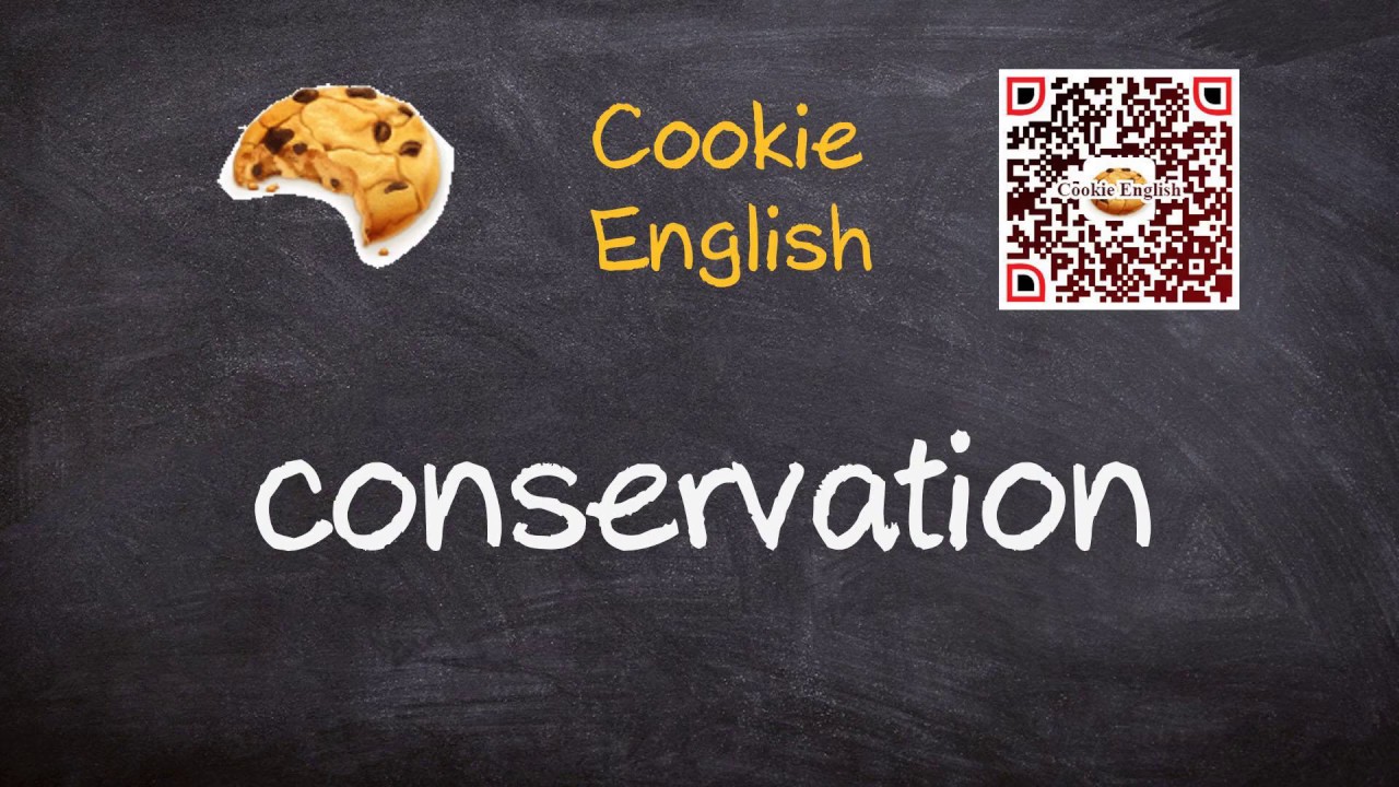 Conservation Pronunciation, Paraphrase, Listen & Practice - YouTube