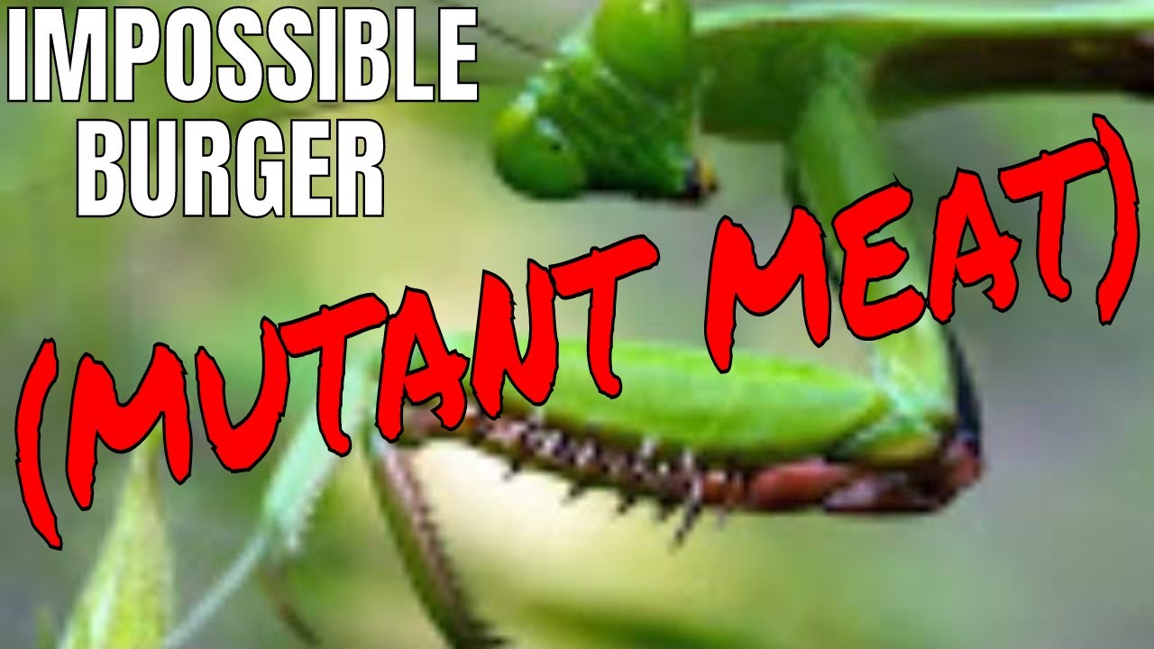 Impossible Burger GMO - Plant DNA in a FUNGUS = MUTANT Meat - YouTube
