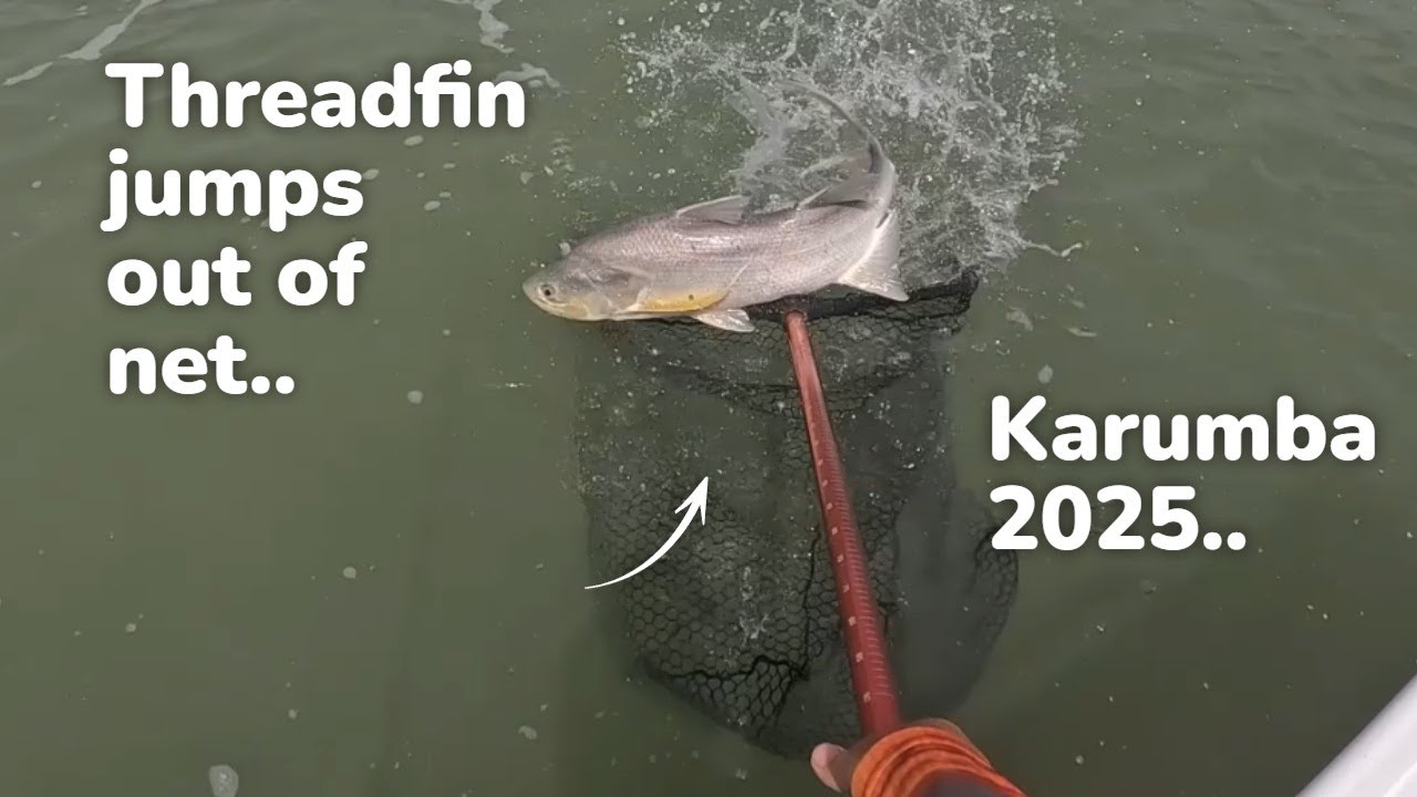 Dropped Fish, Broken Lines, Then This Happened - YouTube