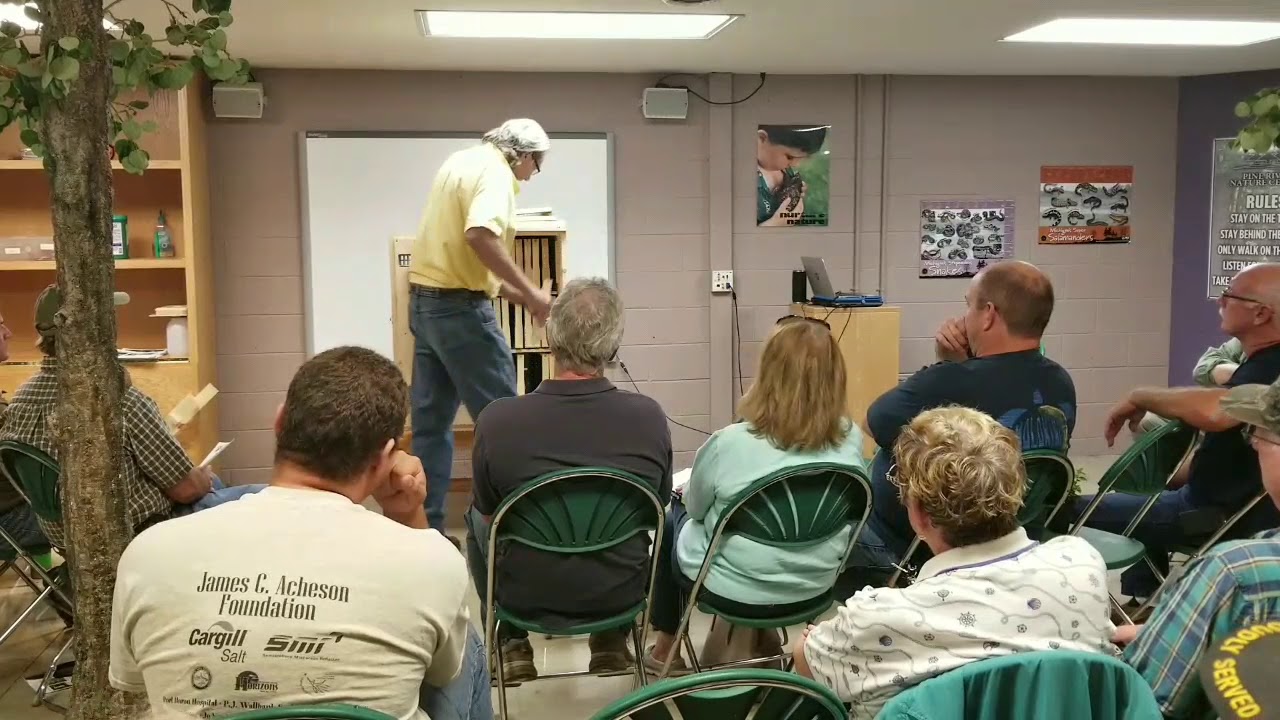 Bee Hive Demo - YouTube