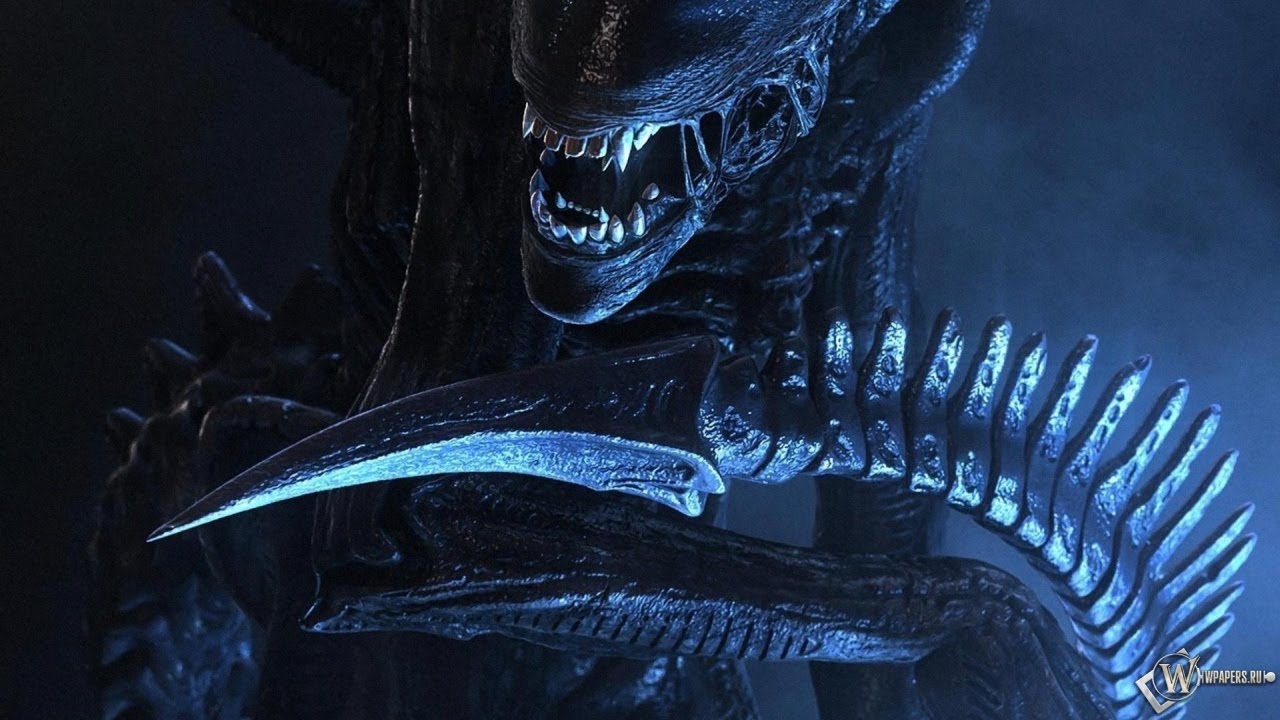 Hunting and Hide and Seek for a ALIEN - ALIEN ISOLATION - YouTube
