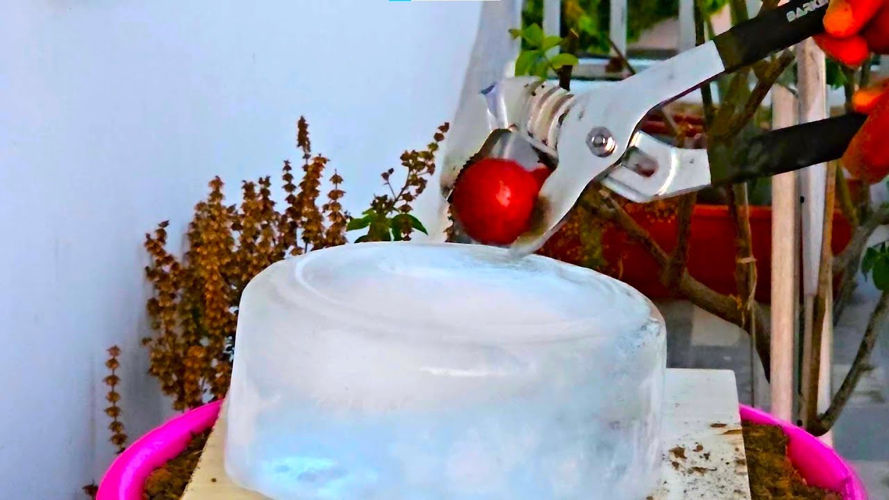 Red Hot Glowing Metal Ball (RHCB) VS ICE VS Gas Torch - YouTube