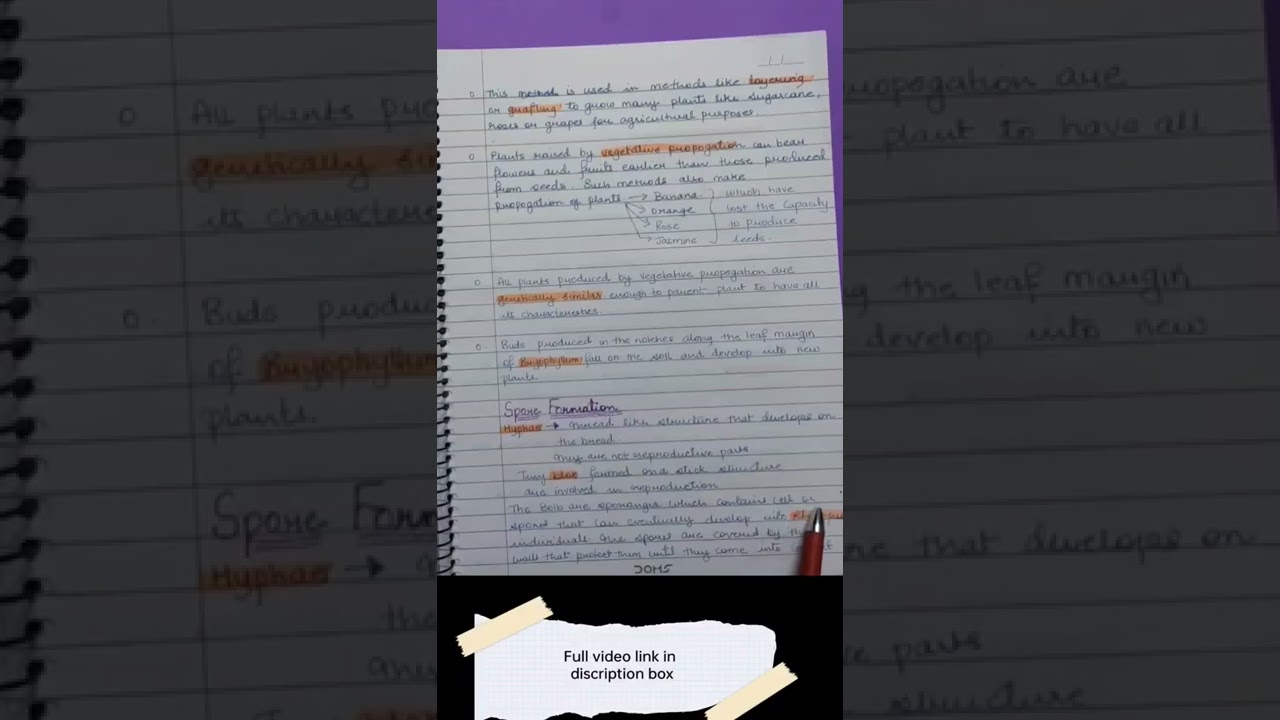 Spore formation class 10 how do organisms reproduce notes - YouTube