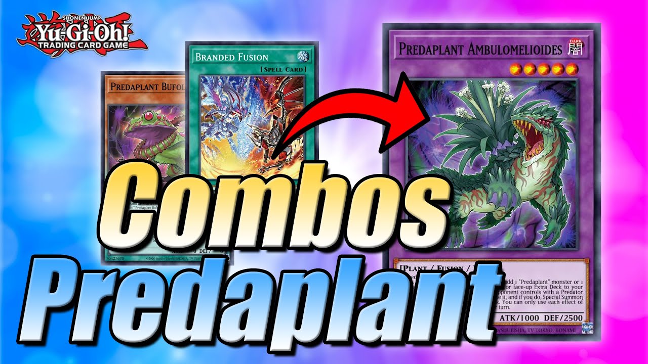 THIS PLANTS ARE DEADLY!!! PENDULUM BRANDED PREDAPLANT COMBOS! POST ...