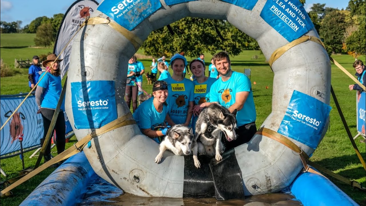 Muddy Dog Run 5k Battersea Dogs Home 2022 Derby - Just 2 Huskies - YouTube