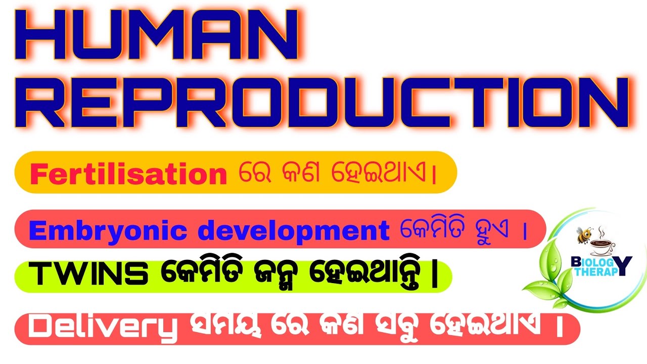 Human Reproduction || Fertilization, Embryonic development, Twins ...