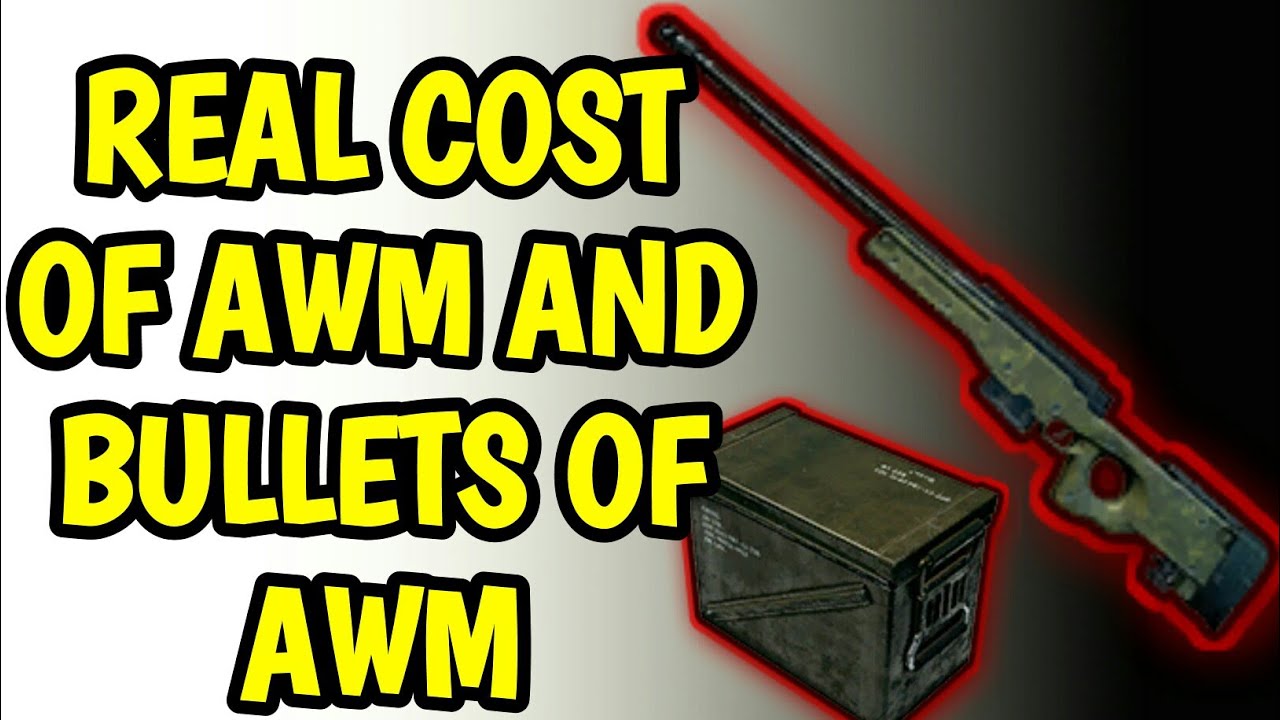 WHAT IS THE REAL COST OF AWM | WHAT IS THE REAL COST OF BULLETS OF AWM ...