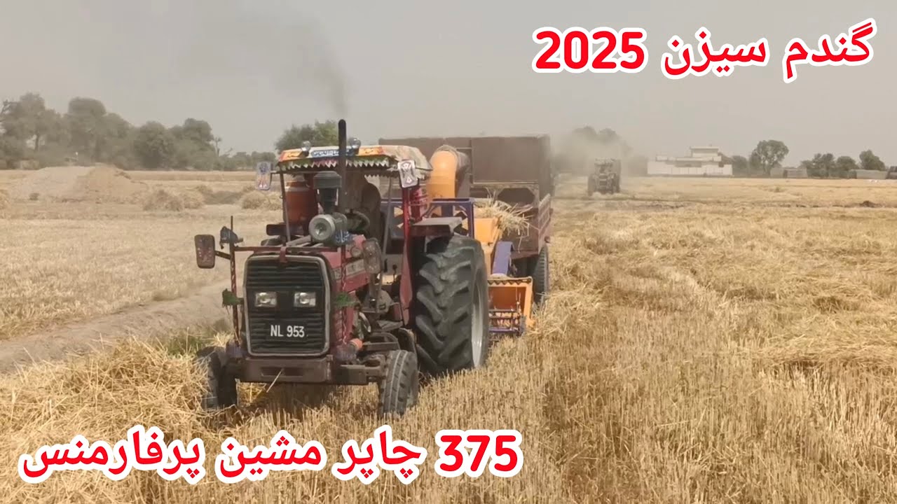 Gondom Season 2025 | MF 375 Chaper Machine Performance - YouTube