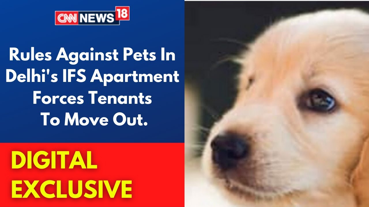 Rules Against Pets In Delhi's IFS Apartment Forces Tenants To Move Out ...