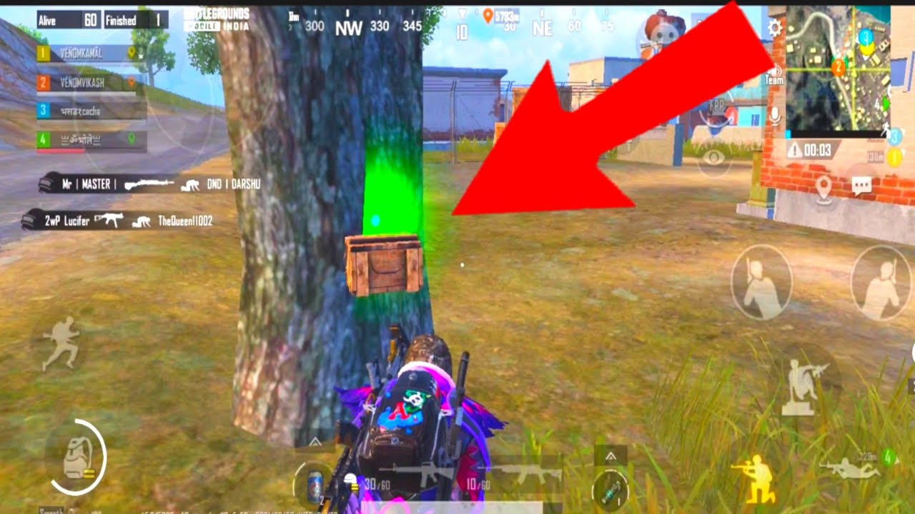 creat in a tree 😂😂 - YouTube