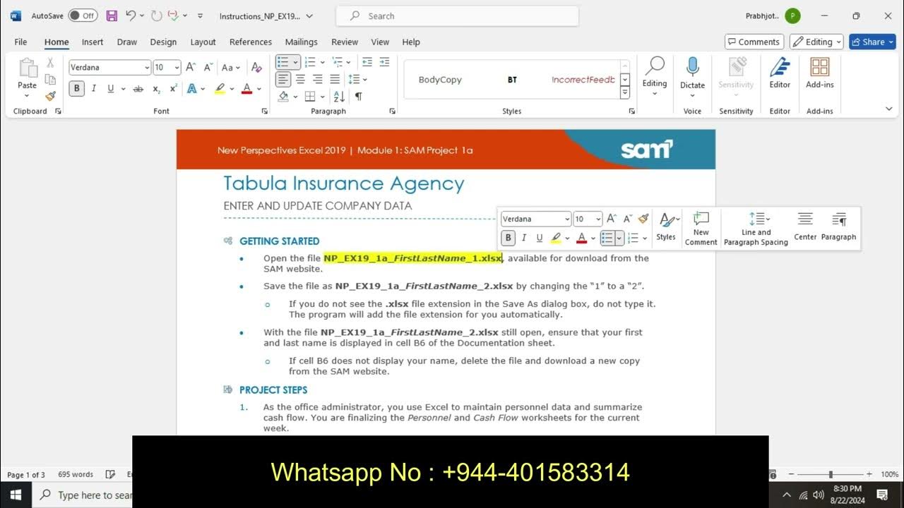 Tabula Insurance Agency SAM Project 1a Module 1 | NP_EX19_1a | New ...