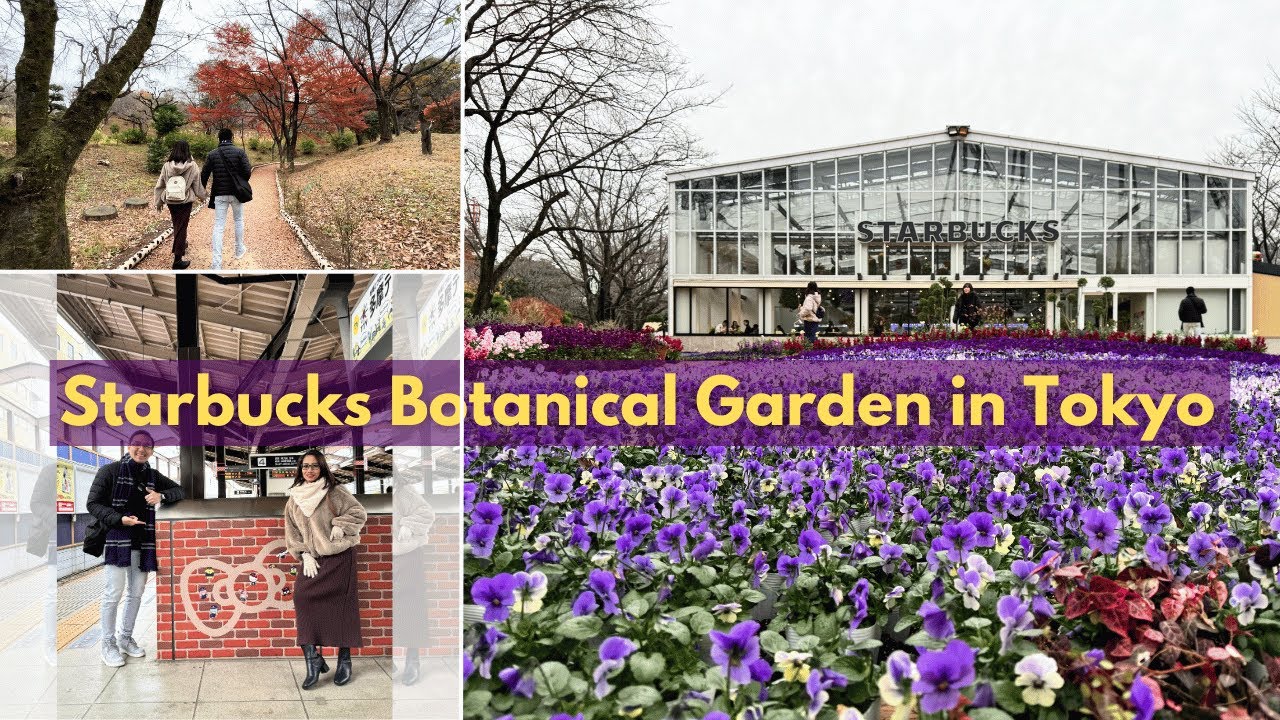 Starbucks Hana Biyori in Yomiuriland | Botanical Garden | Day 5 in ...