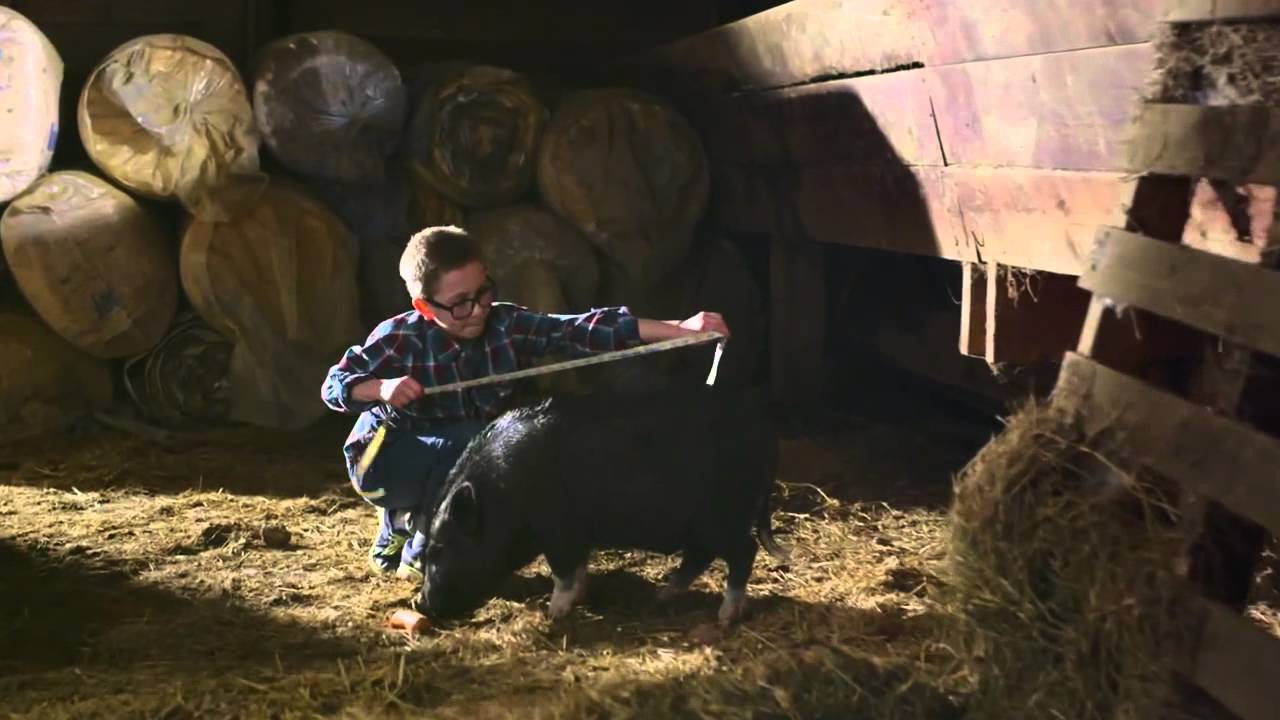 3 When Pigs Fly Doritos Crash the Super Bowl 2015 WINNER OFFICAL - YouTube