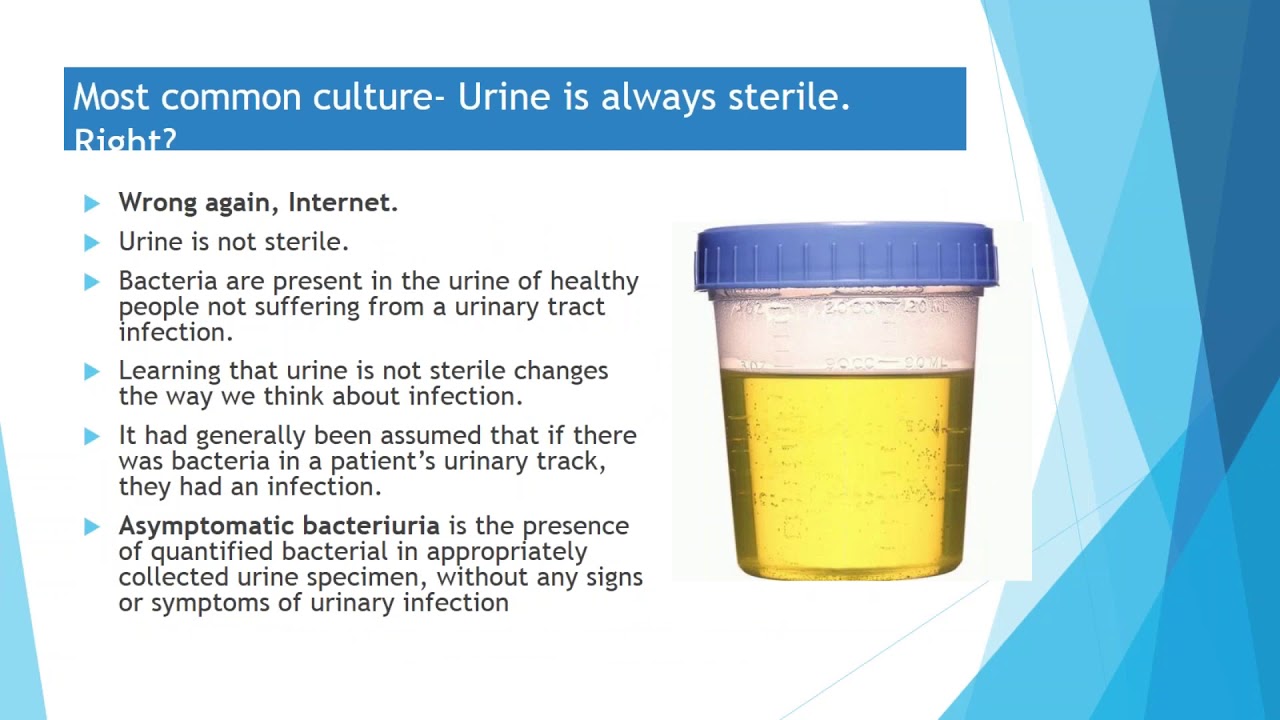 Antibiotic Stewardship and UTI - YouTube