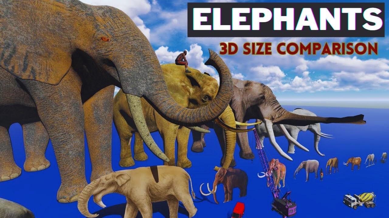 Majestic Mammoths: Viral 3D Elephant SIZE Comparison 🐘 (Animal Size ...